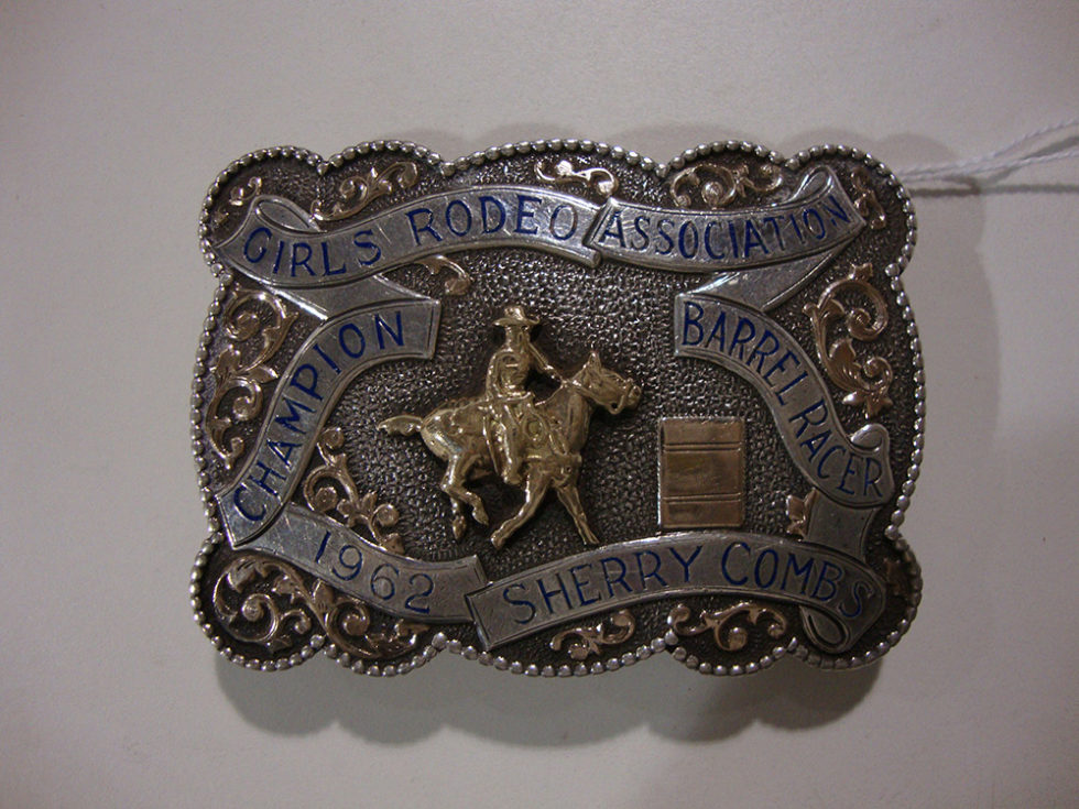 WPRA World Champion and ProRodeo Hall of Famer Sherry Johnson Passes ...