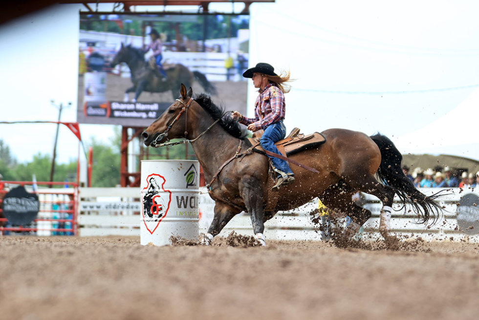 Quick Turnaround in Arena Conditions in Cheyenne, Results in Two Arena ...
