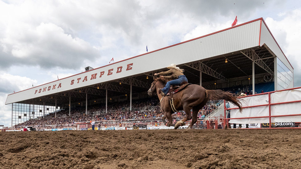 NFR 2022-Choate Clinches Rookie Title En Route to First NFR | WPRA