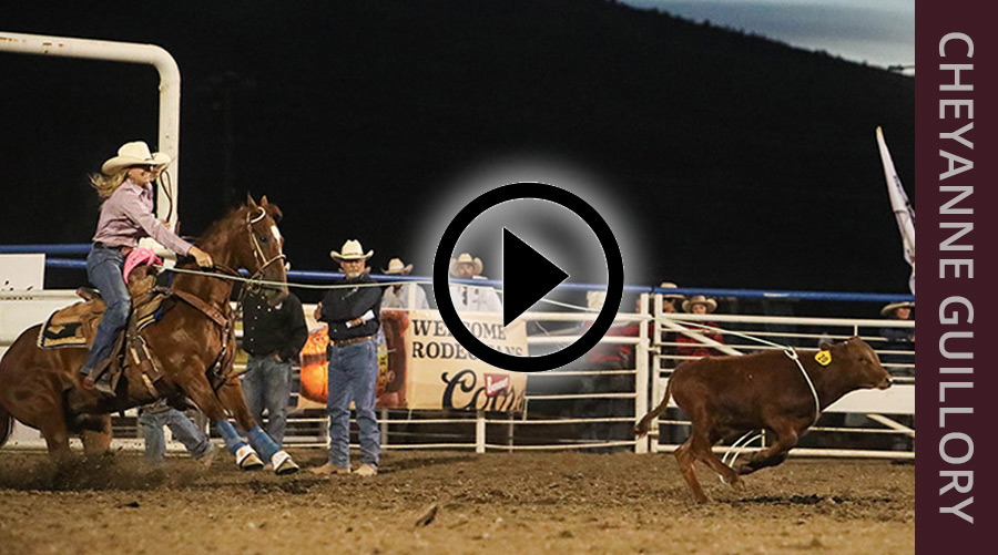 In Case You Missed It-Video Archive | WPRA
